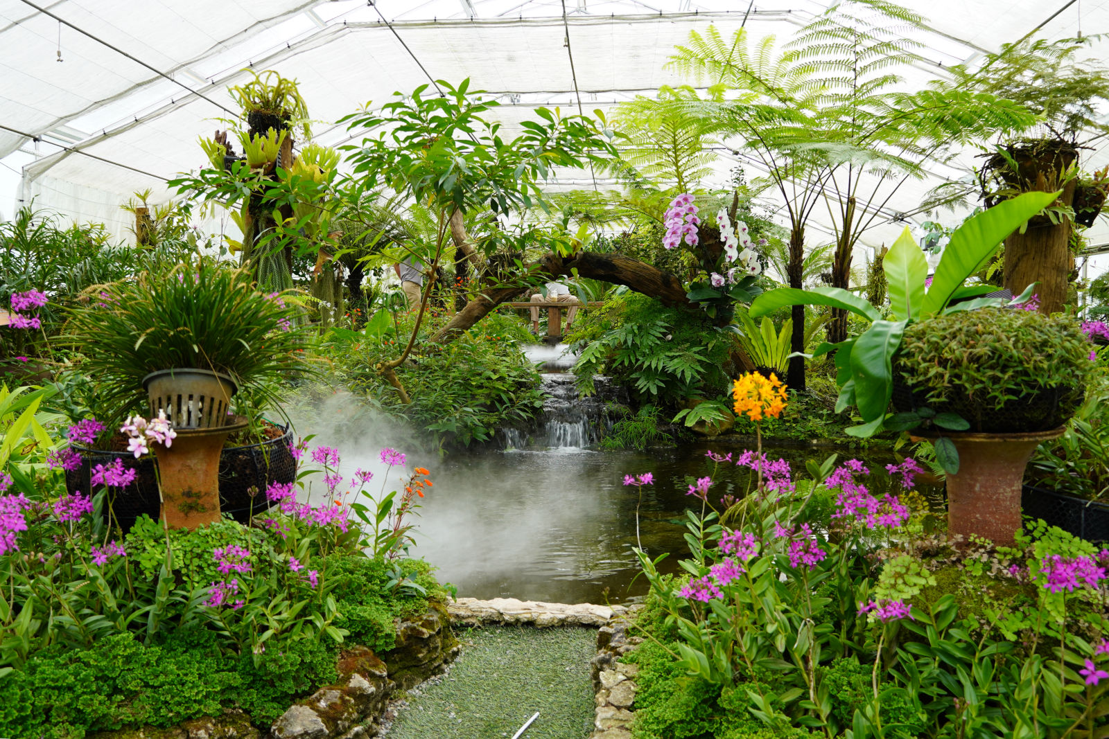 Queen Sirikit Botanic Garden